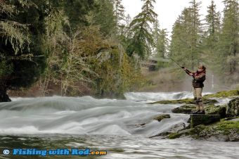 Vancouver Island BC Fishing Lodge - Winter Steelhead - Perfect ...