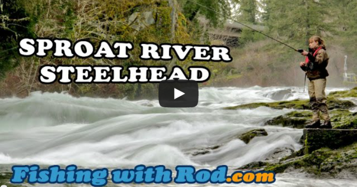 Stamp River Winter Steelhead | Vancouver Island