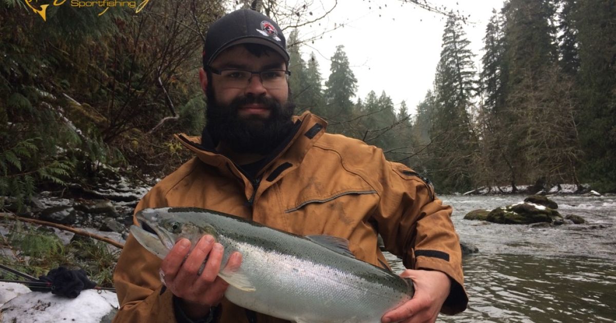 Vancouver Island BC Fishing Lodge - Stamp River Steelhead Report Jan 14 ...