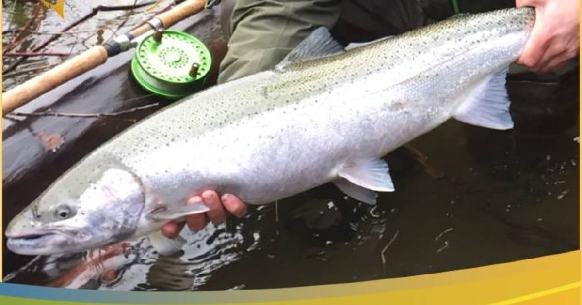 Vancouver Island BC Fishing Lodge - Stamp River Vancouver Island ...